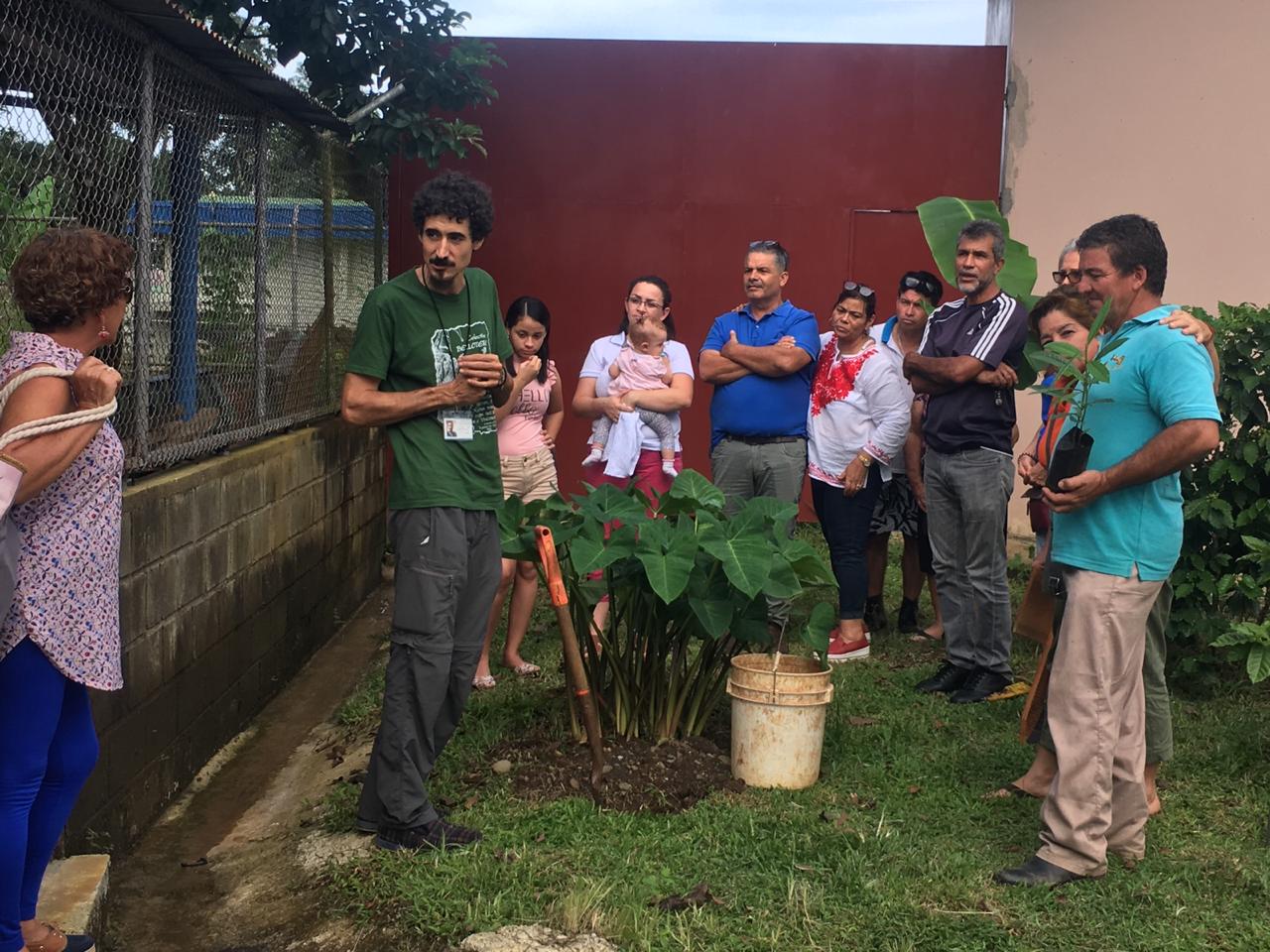 Plantas Y Árboles Manejo Y Usos Culturales De La Flora Presente En El Distrito De Peñas